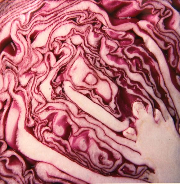 Bonhams : Terry Flynn; Red Cabbage;