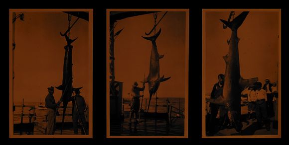 Bonhams : ZANE GREY PHOTO ALBUM. Album containing approximately 437 ...