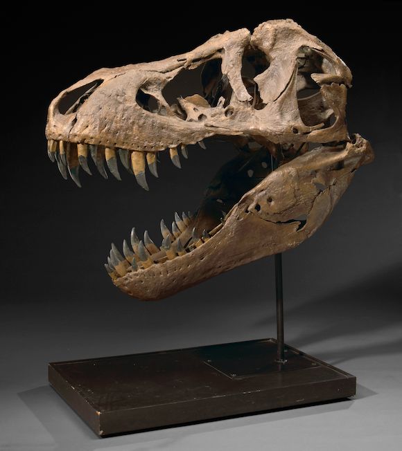 Bonhams : Stan Skull – Research Quality Cast Replica
