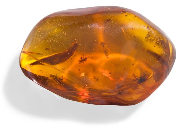 Bonhams : Large Amber Specimen with Insects