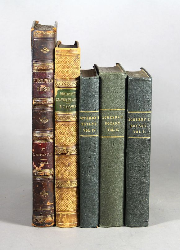 Bonhams : BOTANY-PLATES.