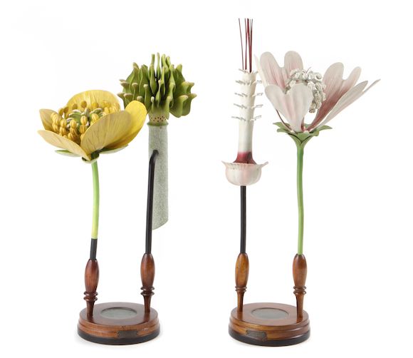 Bonhams : A group of two botanical models