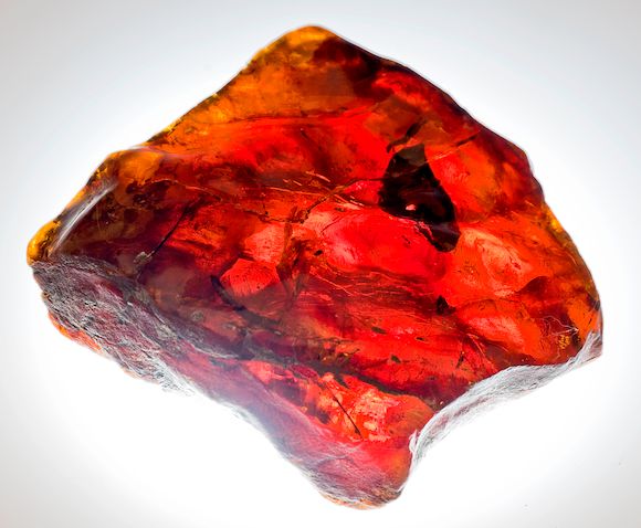 Bonhams : Large Red Amber Specimen with Leaves and Insects