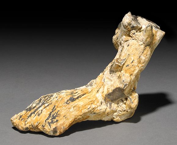 Bonhams : The Foot - Uniquely Shaped Agate Specimen