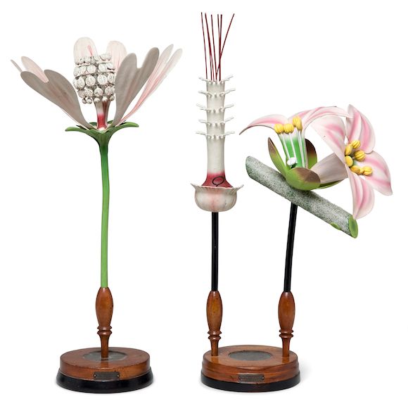 Bonhams : A pair of botany models Modern, 20th century 20 x 5 in (50.8 ...