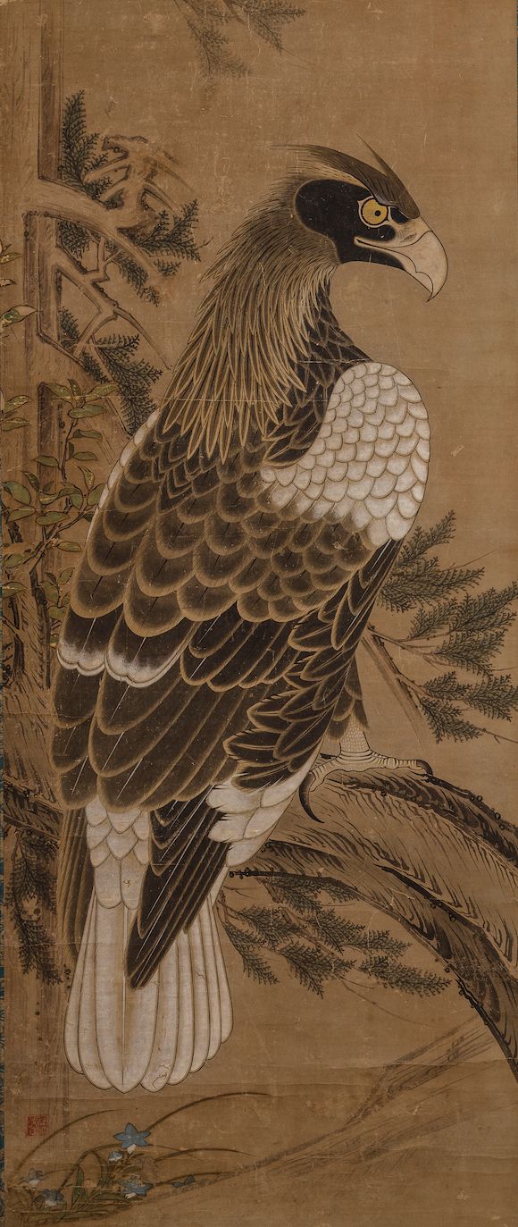 Bonhams : Anonymous (17th/18th century) Hawk in a Tree