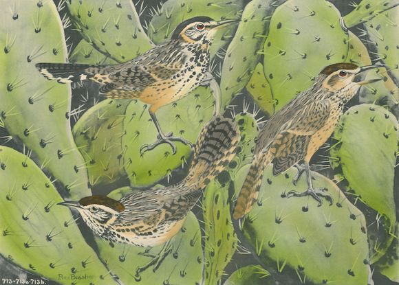 Bonhams : BRASHER, REX. 1869-1960. Birds and Trees of North America ...