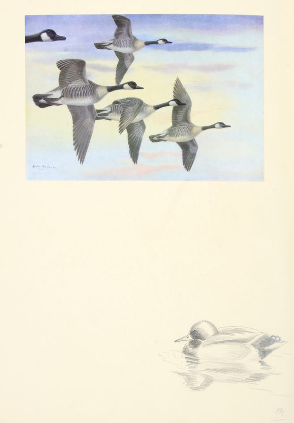 Bonhams : RICKMAN, PHILLIP, illustrator. POLLARD, H.B.C. and PHYLLIS ...