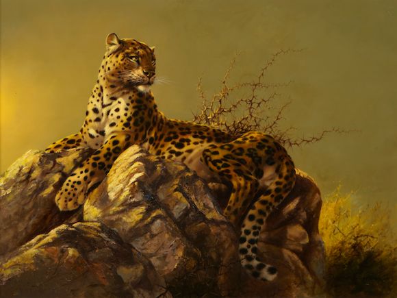 Bonhams : Douglas van Howd (American, born 1935) Leopard on a rocky ...