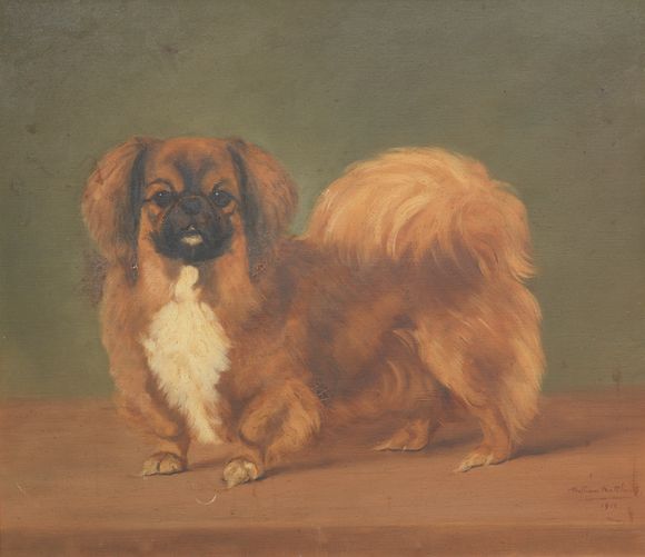 Bonhams : William Matthews (British, active 1912-1940) A Pekingese 20 x ...