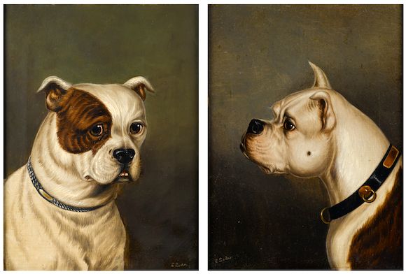 Bonhams : James Loder Of Bath (British, 1784-1860) Two Bulldogs each 12 ...