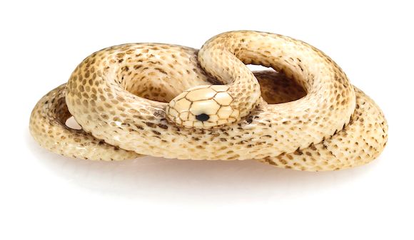 Bonhams : An ivory netsuke of a coiled snake By Tomochika, Edo period ...