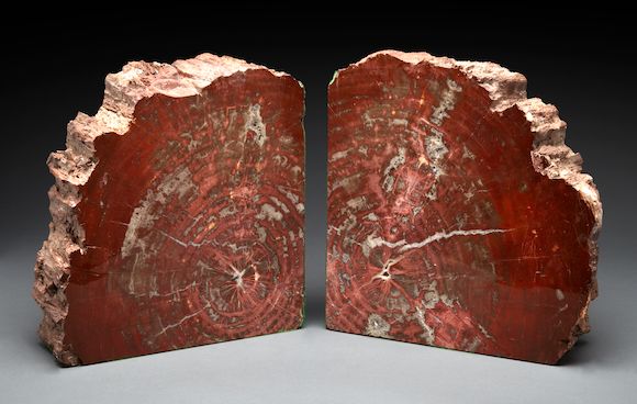 Bonhams : Pair of Petrified Wood Book Ends