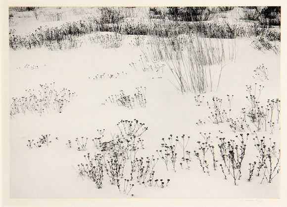 Bonhams : Robert Werling (American, born 1946); Mono Lake;