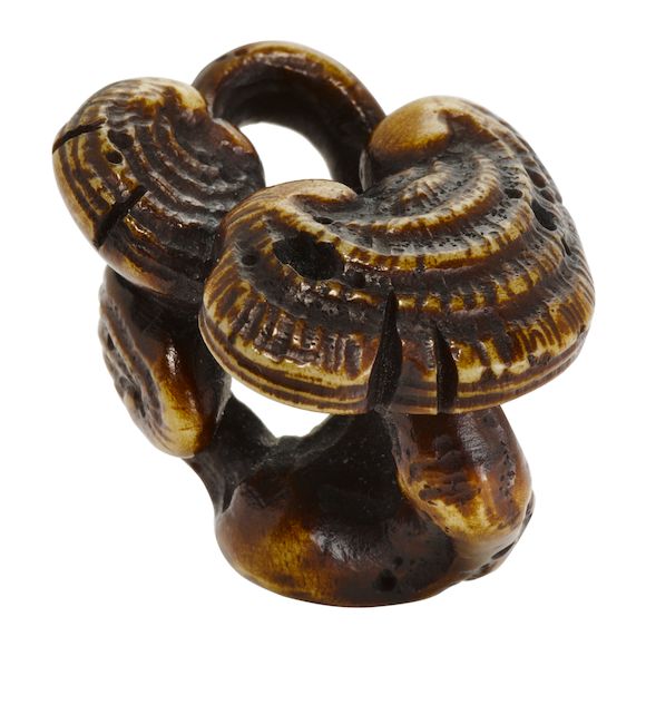 Bonhams : A stag antler netsuke of reishi fungus By Rosetsu, Edo period ...
