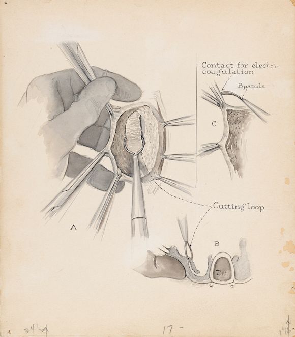 Bonhams : SHEPARD, WILLARD C. Nine original pen & ink and watercolor ...