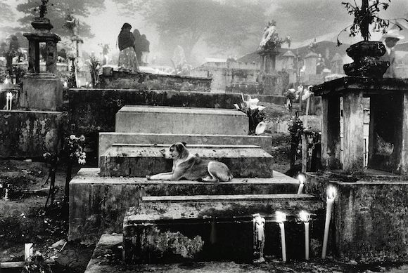 Bonhams : Sebastião Salgado (born 1944); Cemetery of the Town of ...