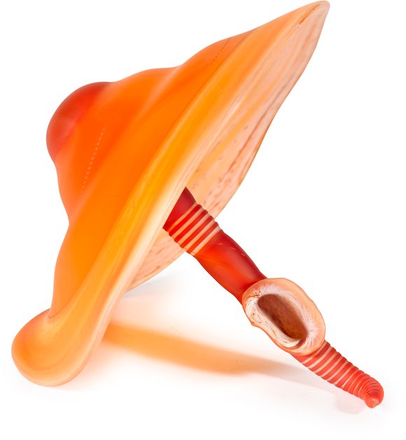 Bonhams : Stephen Dee Edwards (American, born 1954) Physalia, 1982