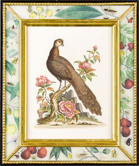 Bonhams : A series of twelve hand-colored etchings of birds after ...