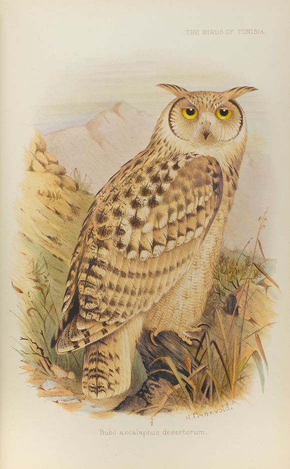 Bonhams : WHITAKER, JOSEPH ISAAC SPADAFORA. 1850-1936. The Birds of ...