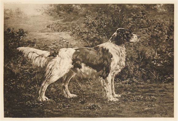 Bonhams : John Martin Tracy (American, 1843-1893) English Setter in a ...