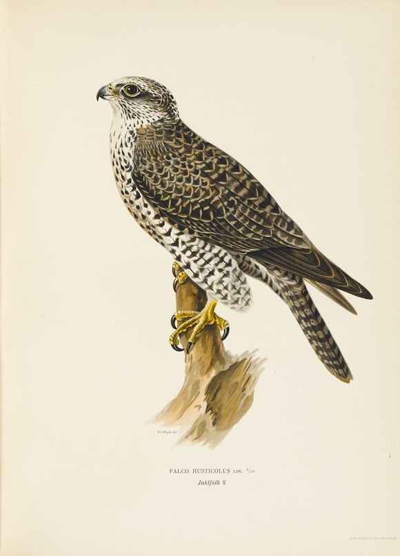 Bonhams : WRIGHT, MAGNUS, WILHELM, AND FERDINAND VON. LÖNNBERG, EINAR ...