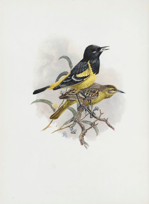Bonhams : DAWSON, WILLIAM LEON. 1873-1928. The Birds of California. San ...