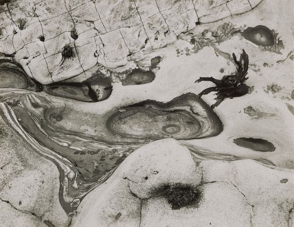 Bonhams : Minor White (1908-1976); Point Lobos, California;