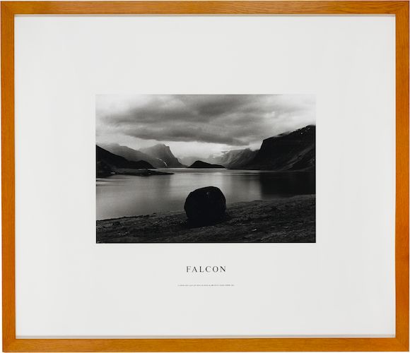 Bonhams : HAMISH FULTON (born 1946) Falcon: A Twelve and a Half Day ...