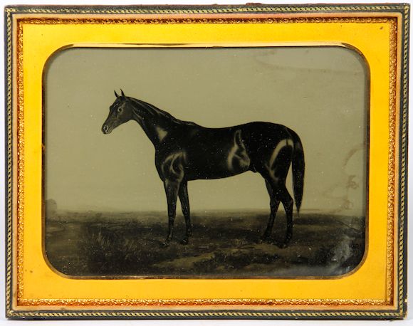Bonhams : [PHOTOGRAPHY-HORSE].