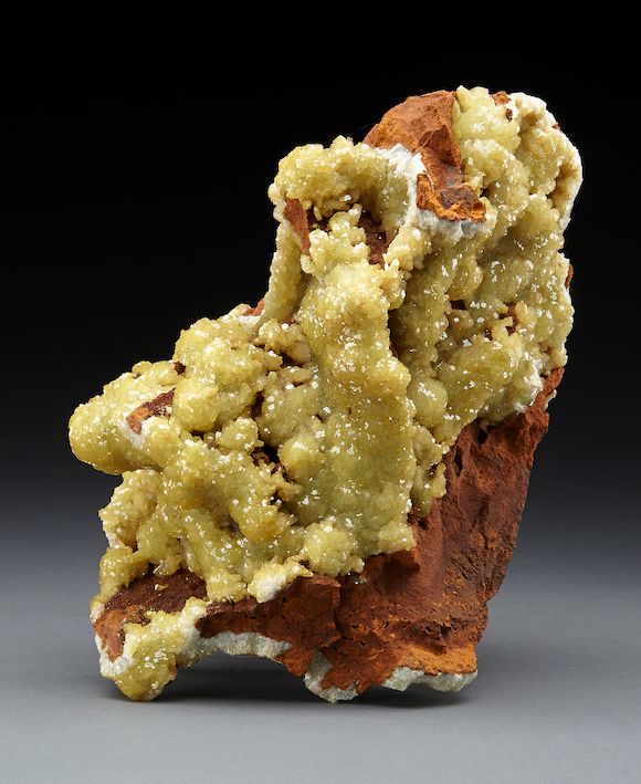 Bonhams : Group of Twelve Adamites