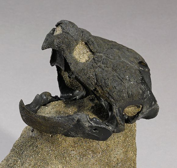 Bonhams : Large Snapping Turtle Skull on Matrix