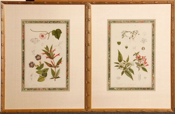 Bonhams : An assembled group of five framed hand-colored botanical ...