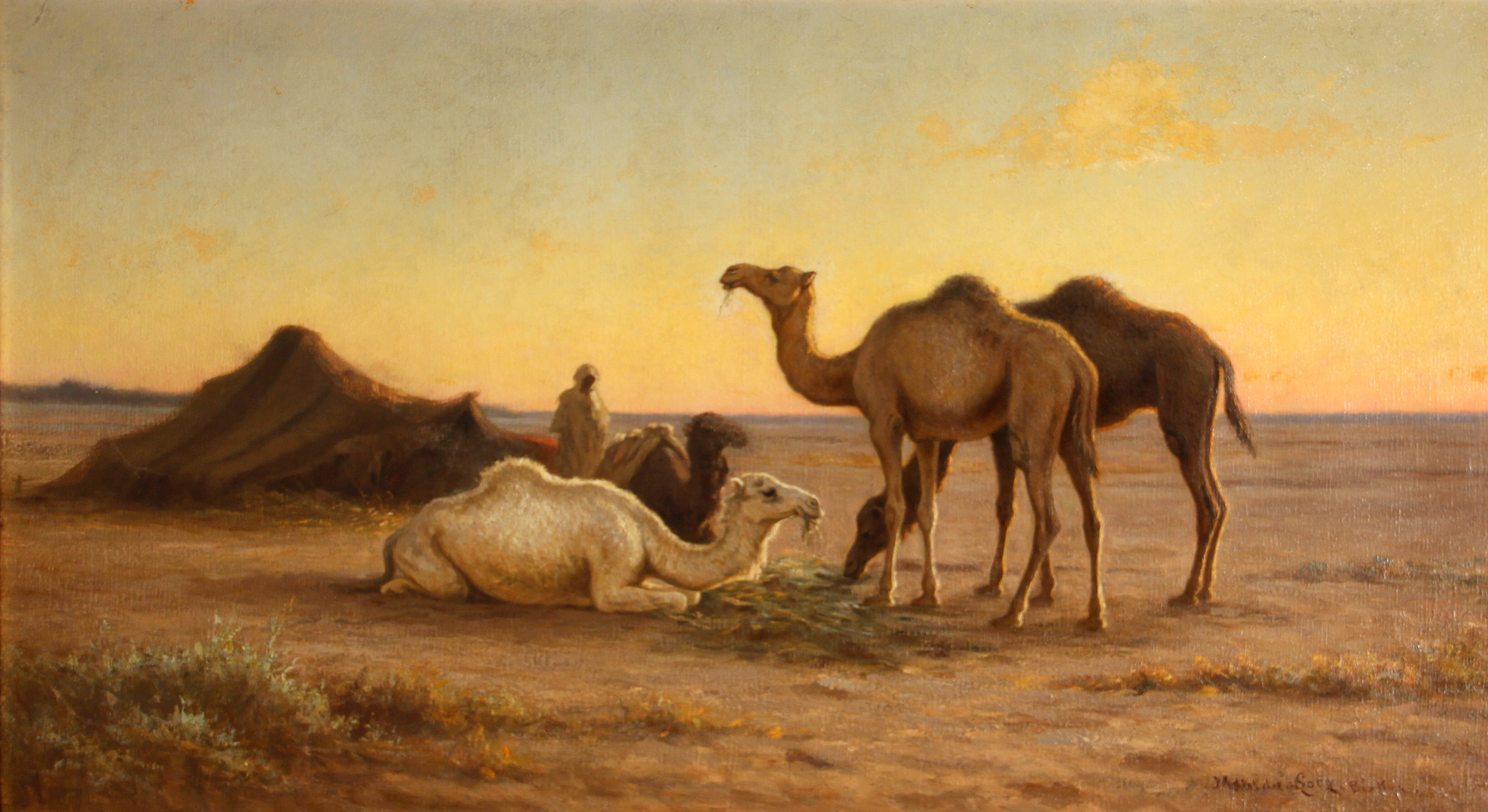 Bonhams : Matilda Lotz (American, 1858-1923) Camels grazing at a camp, Biskra, Egypt 22 1/2 x 40in