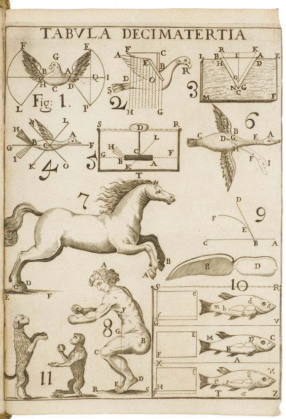 Bonhams : BORELLI, GIOVANNI ALFONSO. 1608-1679. De motu animalium ...