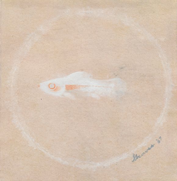 Bonhams : Morris Graves (1910-2001) Minnow, 1967 6 1/4 x 6 1/8 in. (16 ...