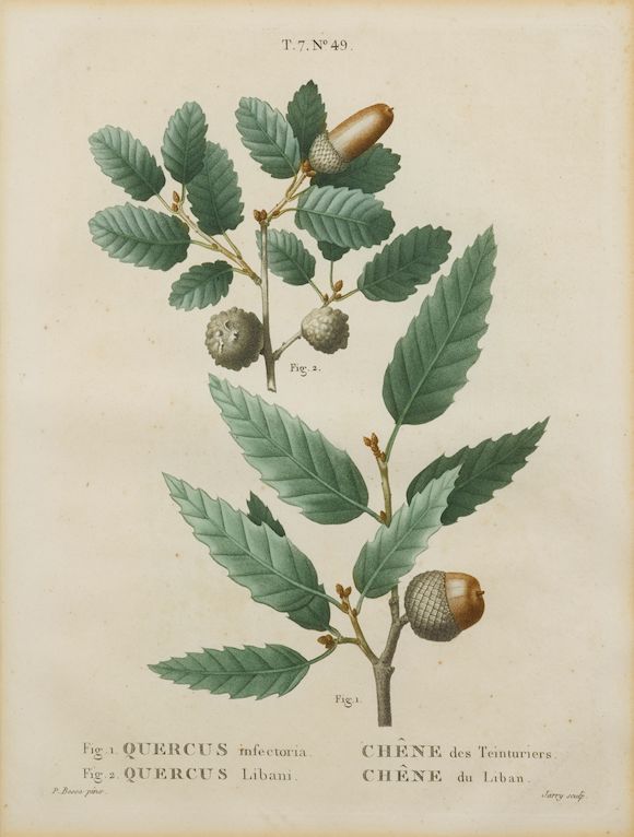 Bonhams : A set of eight color engravings after Bessa by various ...