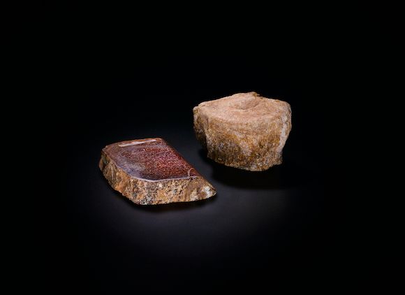 Bonhams : Two Dinosaur Bone Specimens