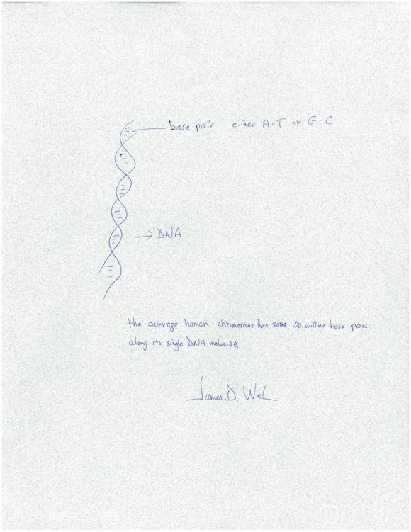 Bonhams : WATSON, JAMES D. b.1928. Autograph Quotation with Diagram ...