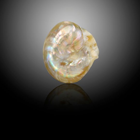 Bonhams : Rare Natural Saltwater Pearl
