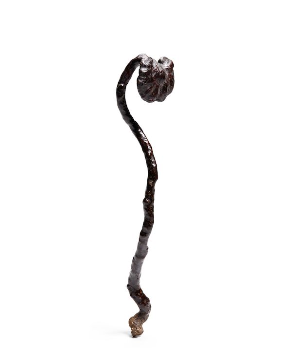 Bonhams : A REISHI-FUNGUS SCEPTER Japan, Edo period (1615–1868) or ...