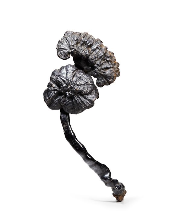 Bonhams : A REISHI-FUNGUS SCEPTER Japan, Edo period (1615–1868) or ...