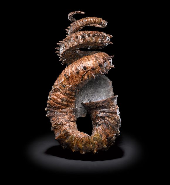 Bonhams : Uncoiled Ammonite on Matrix