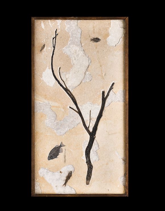 Bonhams : Uncommon Tree Branch with Fishes - Wall Mural