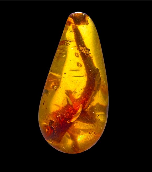 Bonhams : Partial Lizard in Burmite Amber Cabochon