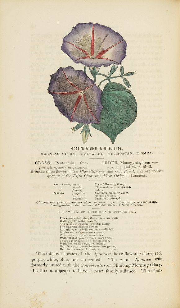 Bonhams : BOURNE, HERMON. 1800-1852. Flores Poetici. The Florist's Manual: Designed as an ...