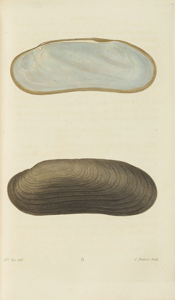 Bonhams : SAY, THOMAS. 1787-1834. American Conchology, or descriptions ...
