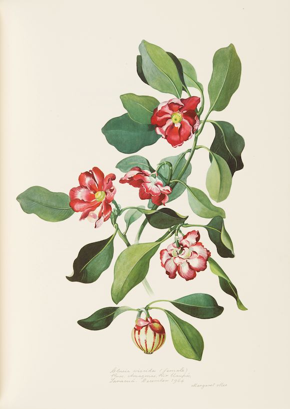 Bonhams : MEE, MARGARET. 1909-1988. Three large folio illustrated works ...