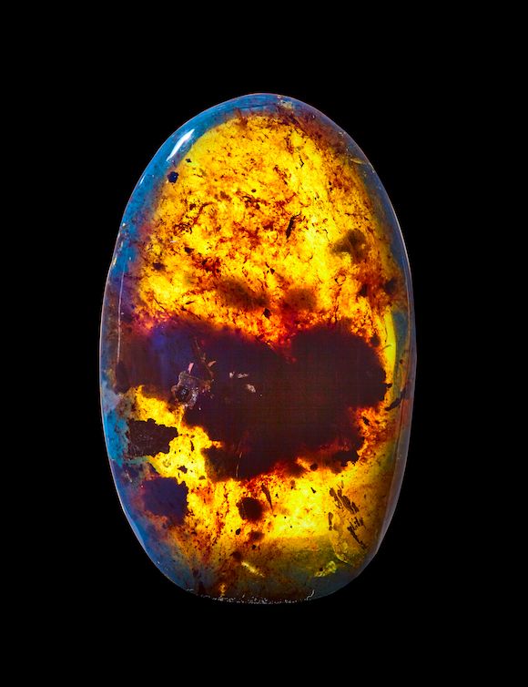 Bonhams : Rare Blue Amber Specimen
