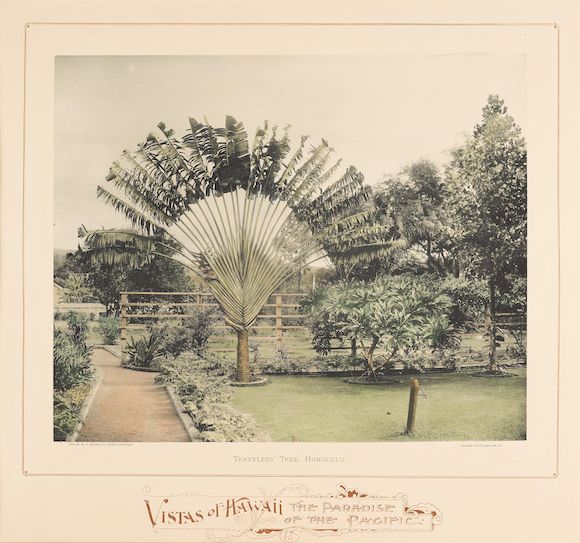 Bonhams : HAWAII AT THE WORLD COLUMBIAN EXPOSITION: PHOTOGRAPHY ...